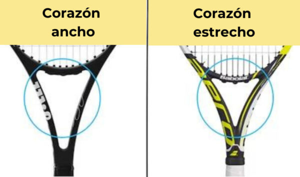 CÓMO ELEGIR una Raqueta de Tenis: Fácil y Rápido - TennisHack